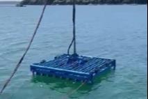 Automated machine developed for seagrass planting | News | Maritime Journal