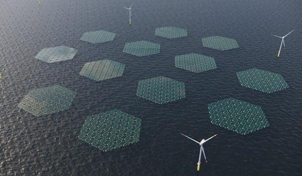 Hybrid offshore wind and solar project agreed | News | Maritime Journal