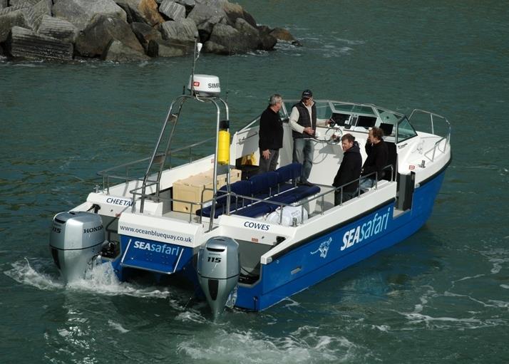 SeaStar docking for Cheetah at Seawork | News | Maritime Journal