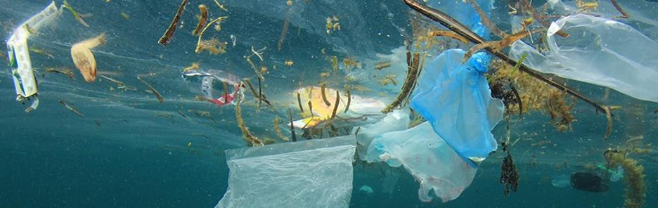 Project set up to address plastic in seas | News | Maritime Journal