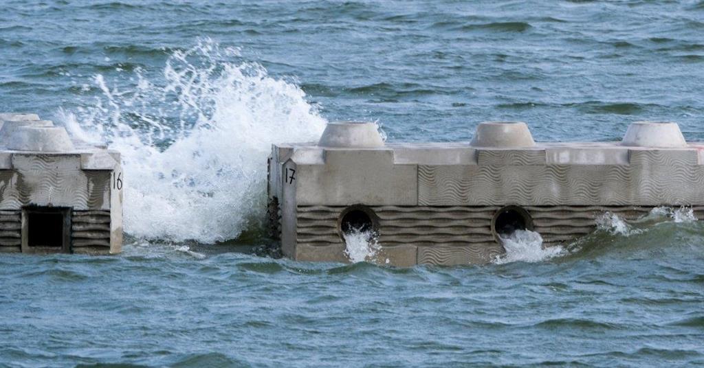 ‘Living breakwater’ installed at Rotterdam | News | Maritime Journal