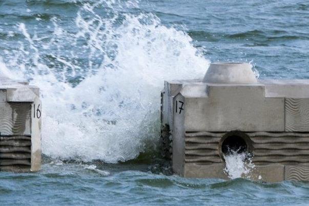 ‘Living breakwater’ installed at Rotterdam | News | Maritime Journal