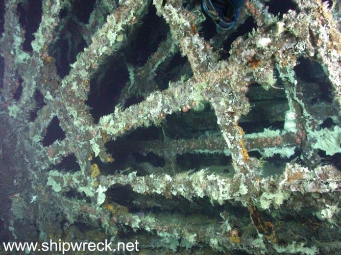 Interactive Shipwreck Exhibition to Open | News | Maritime Journal