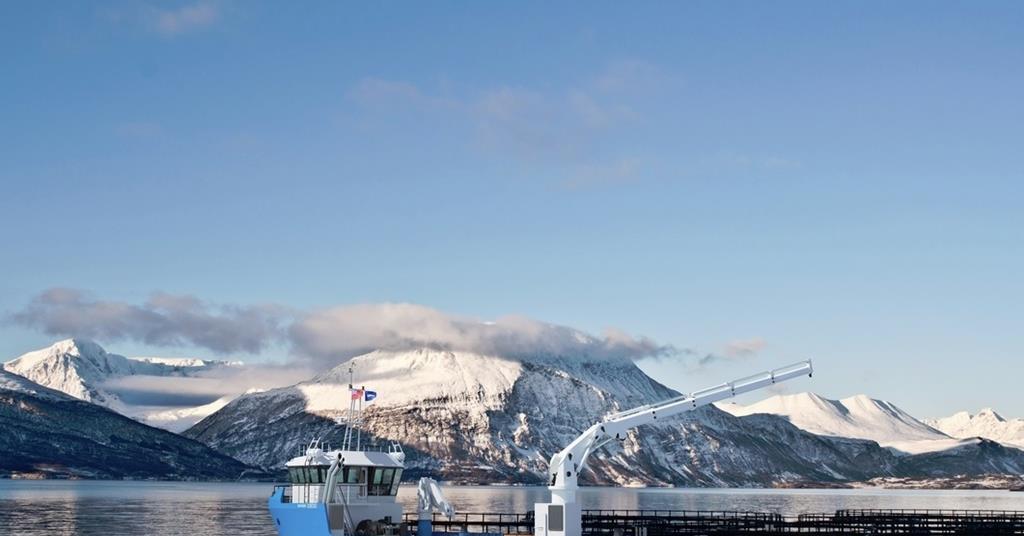 New sub 24m workboat from Damen | News | Maritime Journal