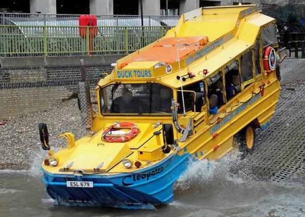 Duck disasters disected | News | Maritime Journal