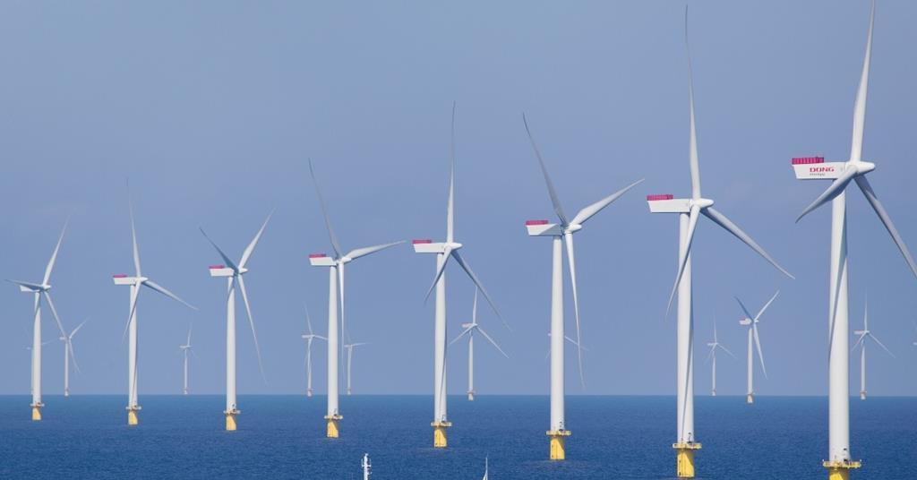 Wind farm impact study | News | Maritime Journal