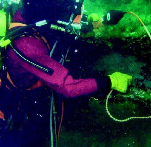 Engineer-Divers Prove Their Worth in Water | News | Maritime Journal