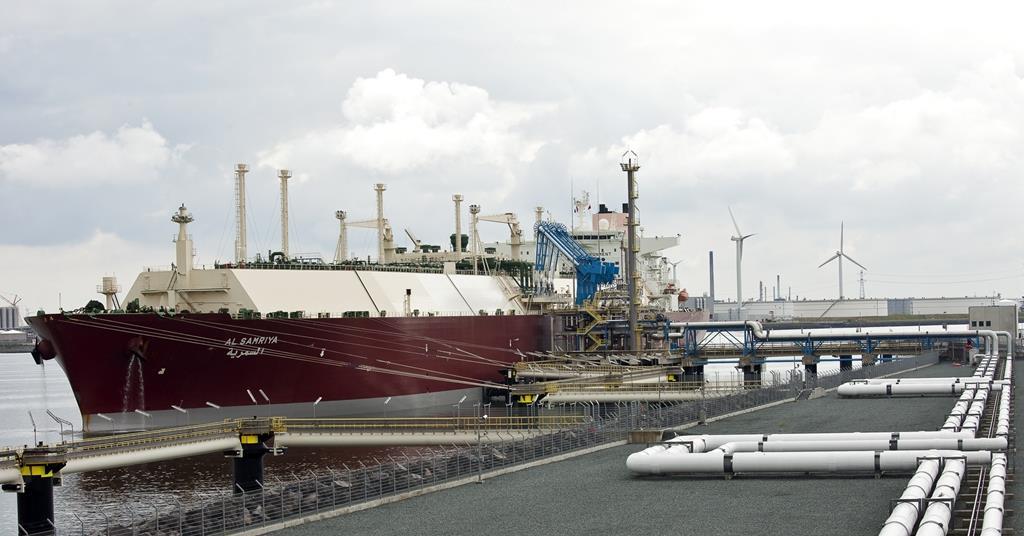 Gate Terminal prepares for business | News | Maritime Journal