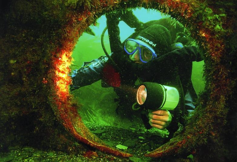 Diver detection success in UK port trials | News | Maritime Journal