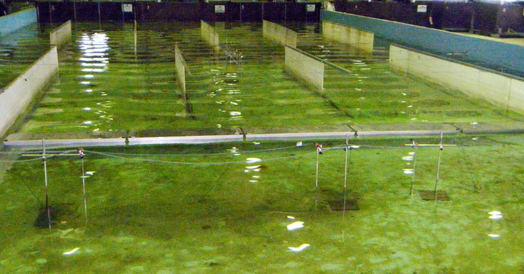 Research affirms breakwater effectiveness | News | Maritime Journal