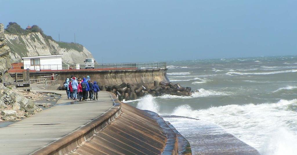 Pioneering sea wall project aims to stave off flooding | News ...