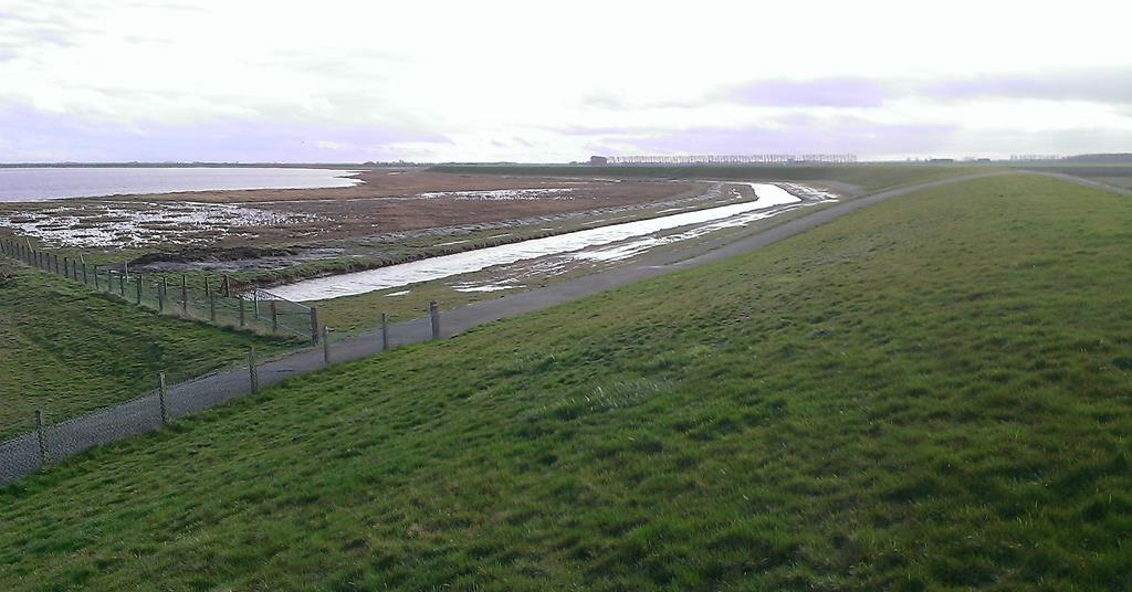 Deltares study highlights the advantages of broad green dikes | News ...