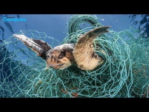Small islands urge action on pollution | News | Maritime Journal