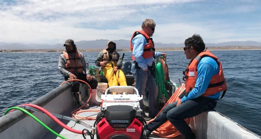 Cleaning up with bubble implosion | News | Maritime Journal