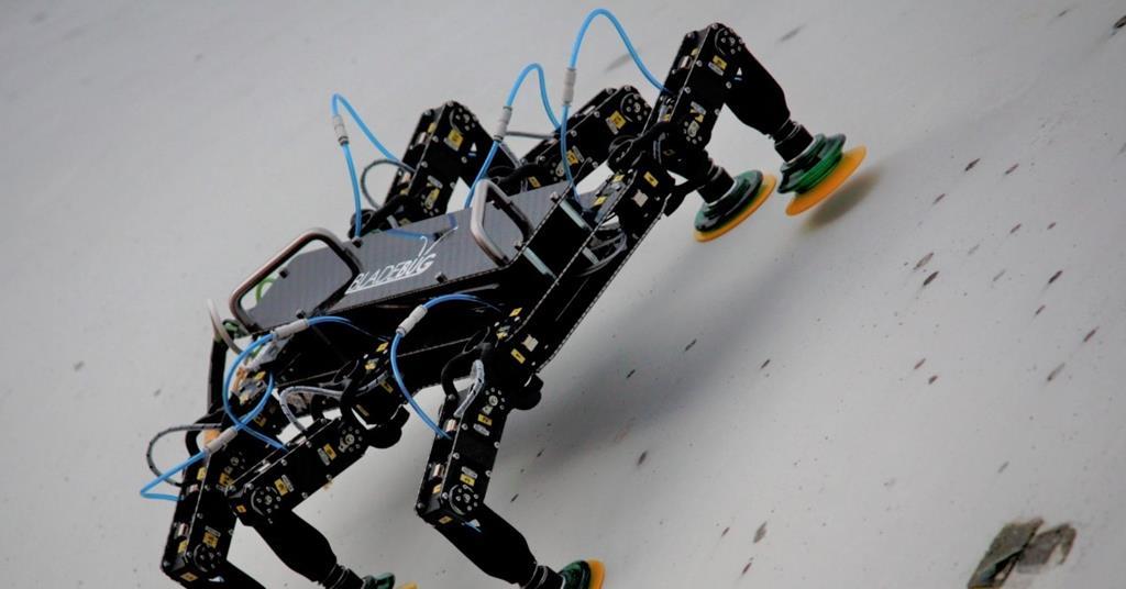 Successful turbine blade walk for BladeBUG | News | Maritime Journal