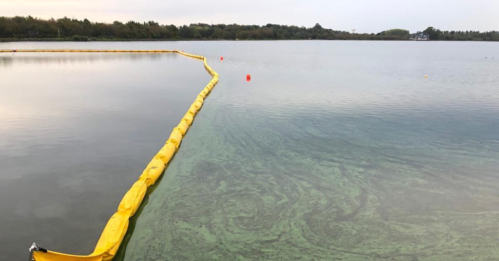 Ecocoast protects Blue Carbon Ecosystems | Ecocoast | Maritime Journal