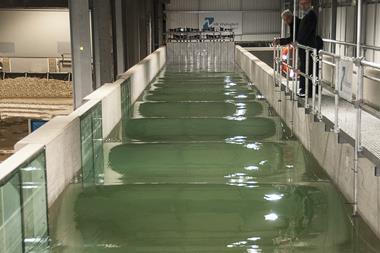 Fast Flow Facility | News | Maritime Journal