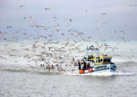 Dark vessel detection technology launches | News | Maritime Journal