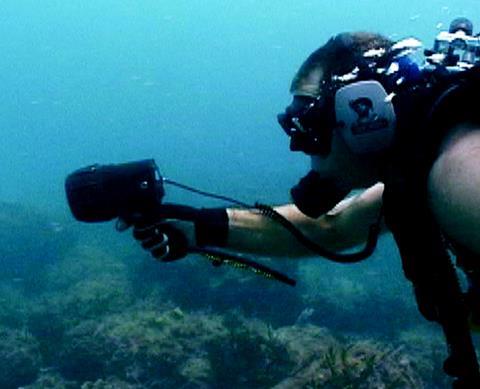 Pings Can Only Get Better | News | Maritime Journal