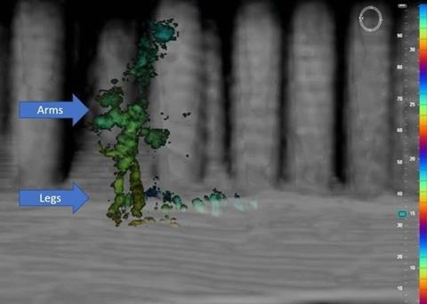 3D sonar proved invaluable for navy divers | News | Maritime Journal
